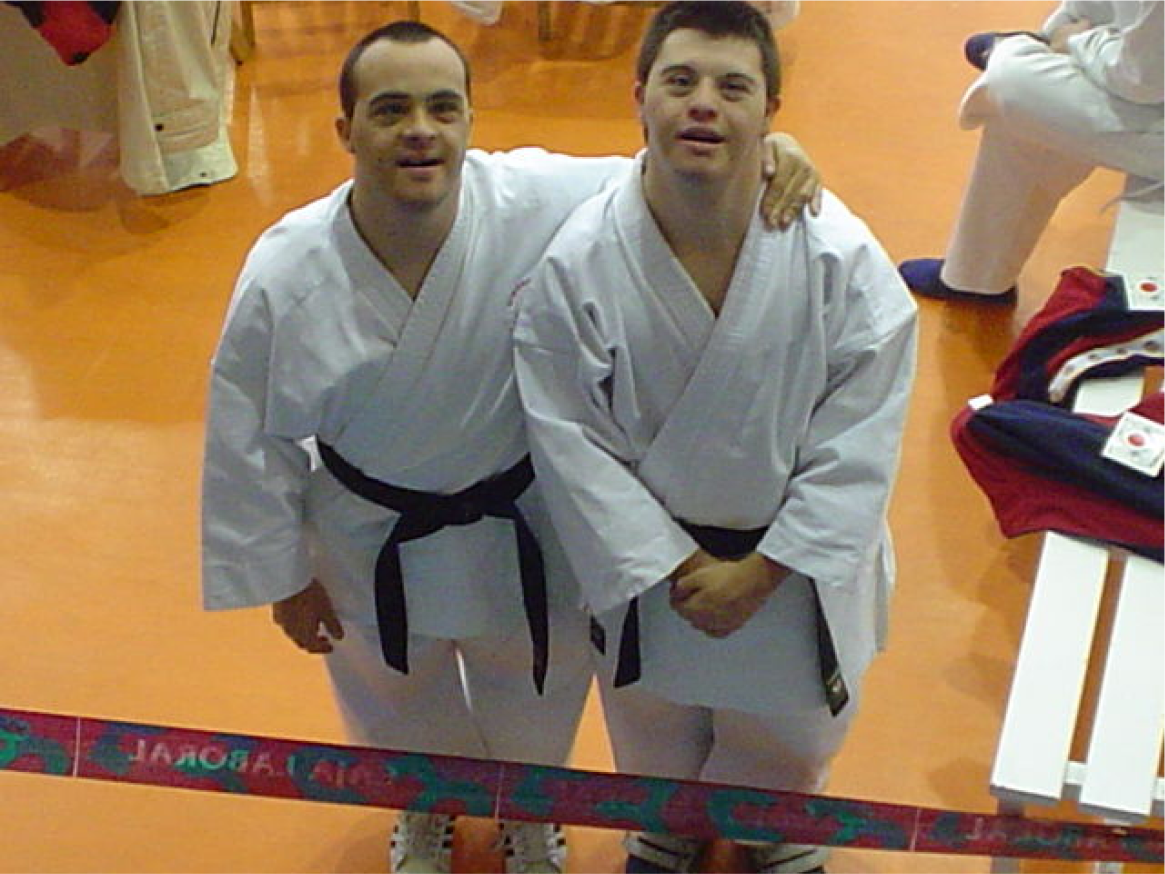 Karate - Down España